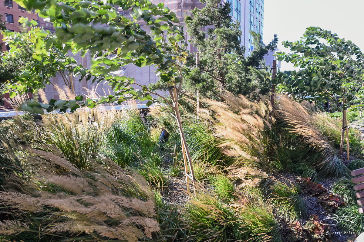 2014-11-02 High Line extension 02 – Sherry Felix – port4u