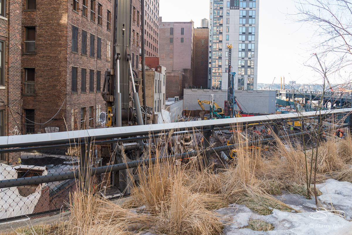 2015-03-09 High Line extension 05 – Sherry Felix – port4u