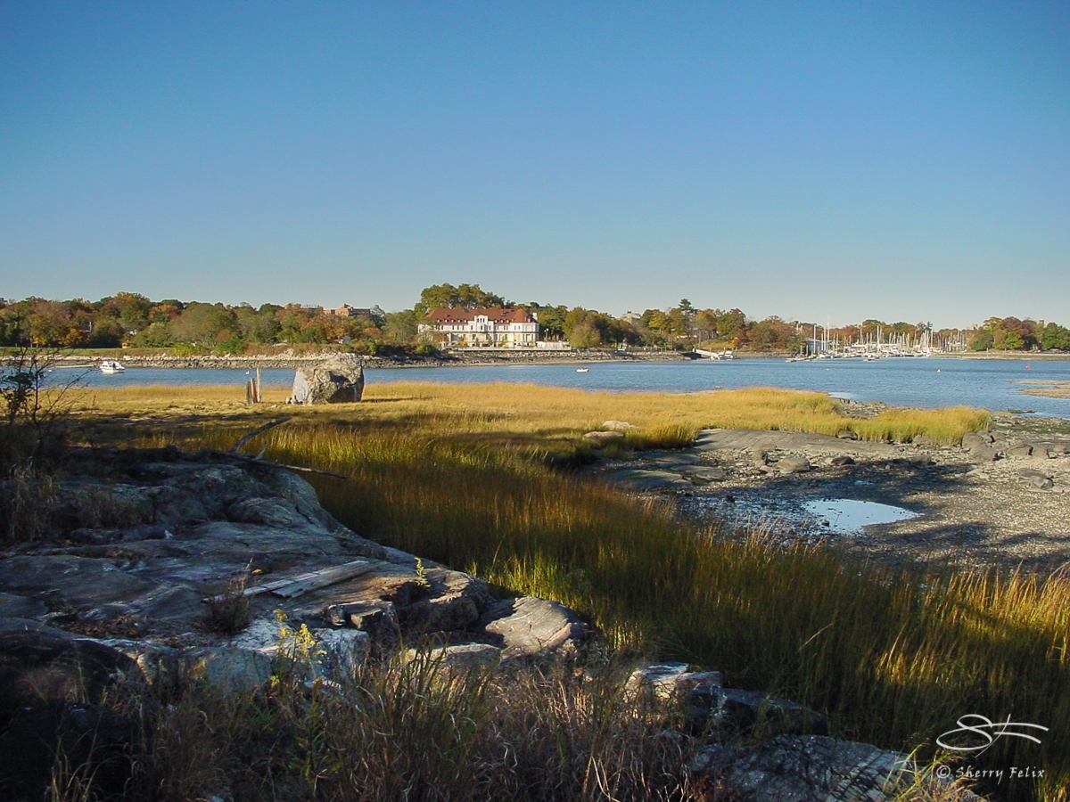 Pelham Bay – Sherry Felix – port4u