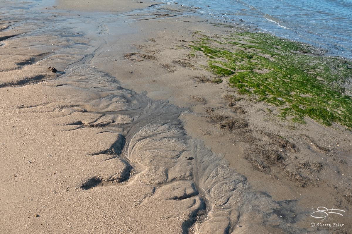 Egg Island and Cape May Harbor – Sherry Felix – port4u
