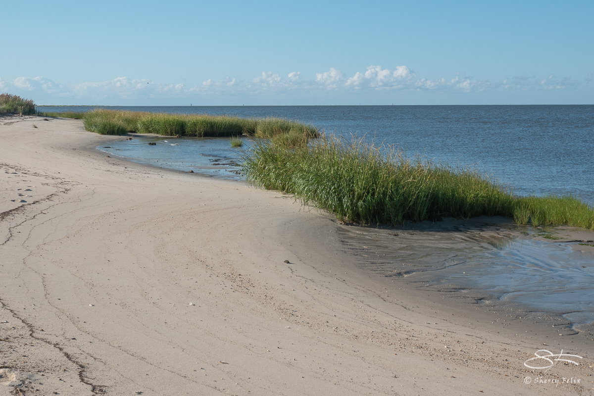 Egg Island and Cape May Harbor – Sherry Felix – port4u