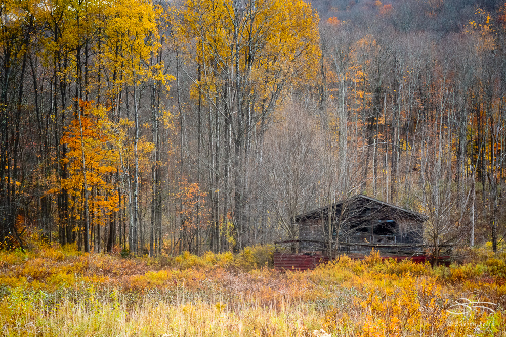 Delaware Landscapes – Sherry Felix – port4u