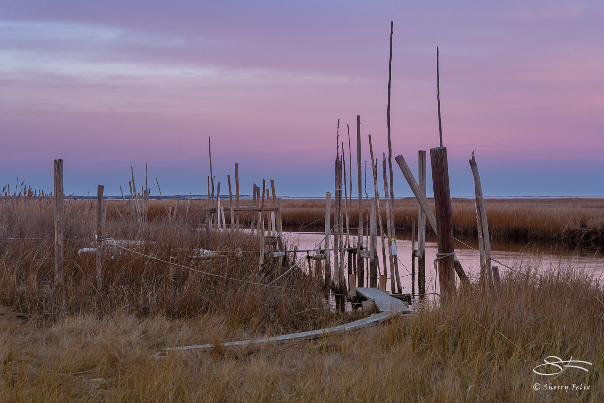 Leeds Point – Sherry Felix – port4u