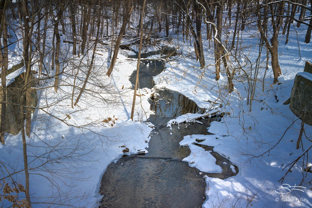Foundry Brook – Sherry Felix – port4u