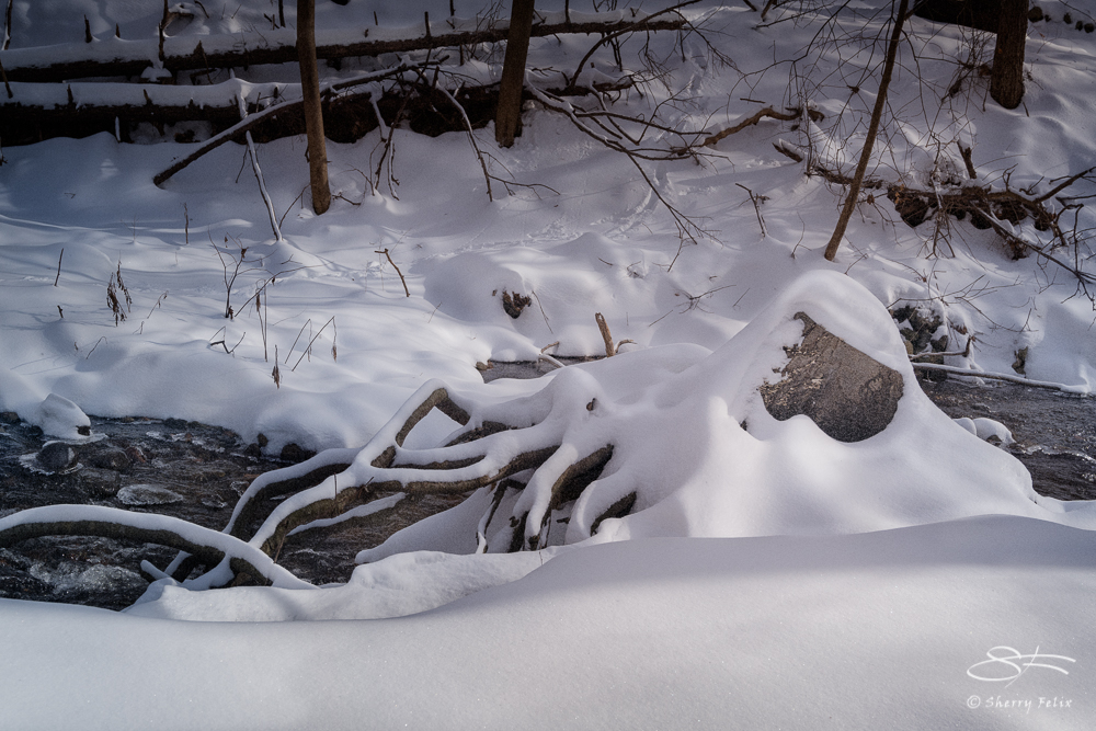 Foundry Brook – Sherry Felix – port4u