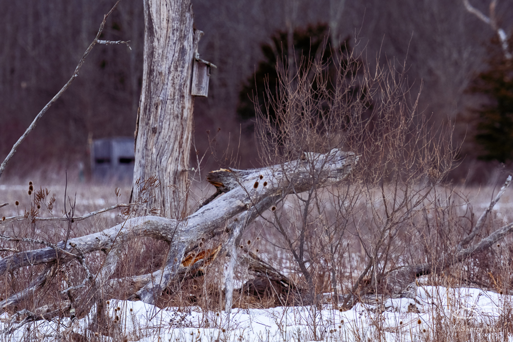 Shawangunk Landscapes – Sherry Felix – port4u
