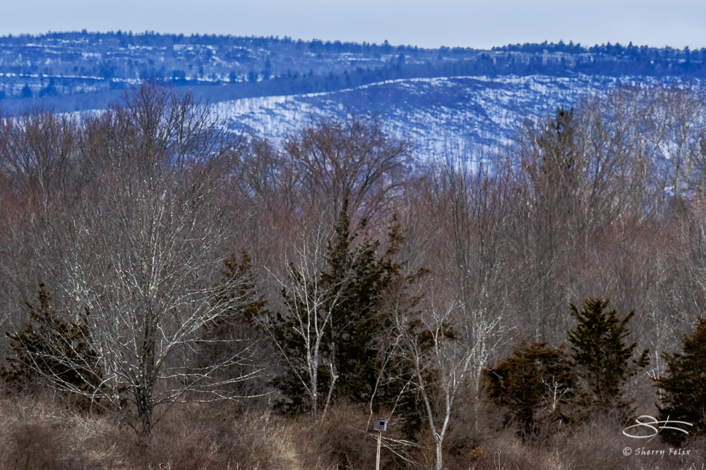 Shawangunk Landscapes – Sherry Felix – port4u