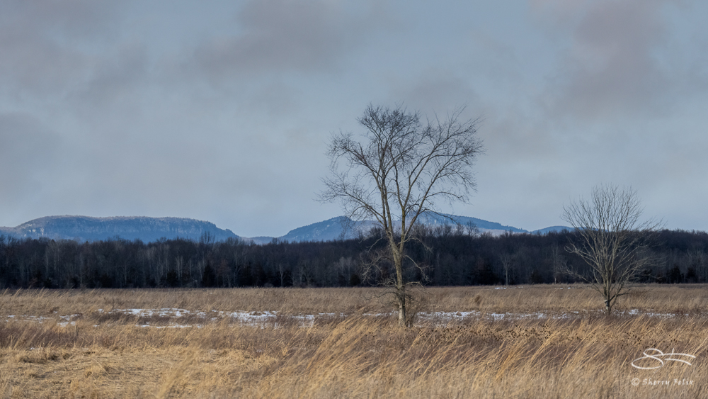 Shawangunk Landscapes – Sherry Felix – port4u