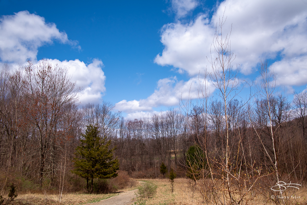 Ward Pound Ridge and Keeler Tavern – Sherry Felix – port4u