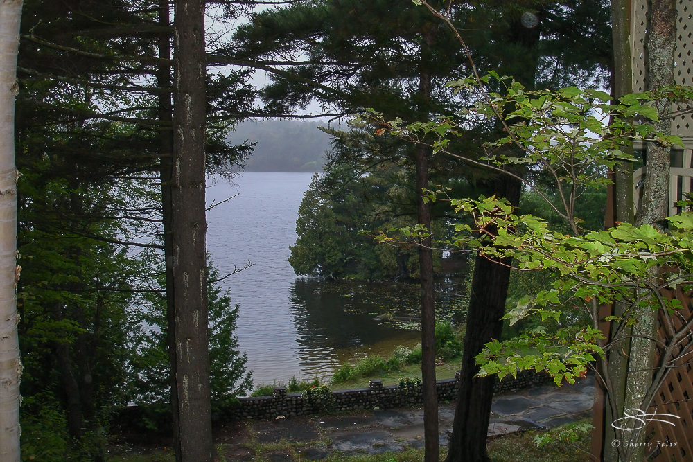Loon Lake 2005 – Sherry Felix – port4u