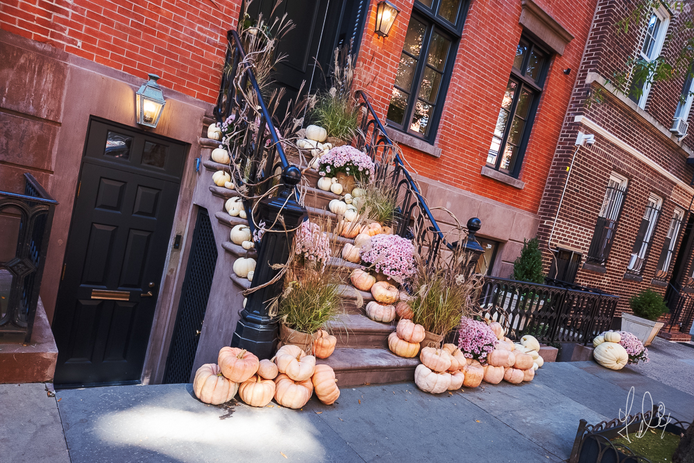 Autumn Doors in GV – Sherry Felix – port4u