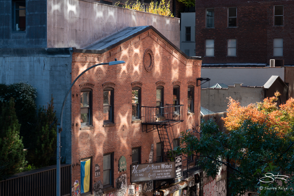 High Line Park – Sherry Felix – port4u