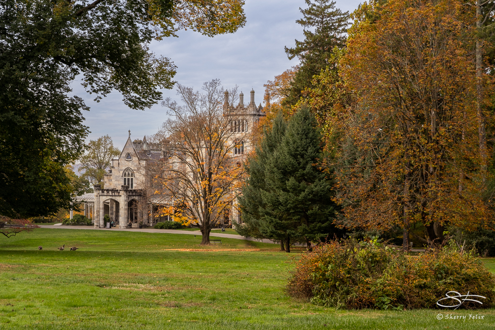 Lyndhurst Mansion – Sherry Felix – port4u