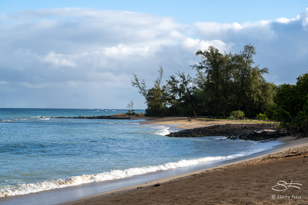 Kanaha Pond and Beach in Maui – Sherry Felix – port4u