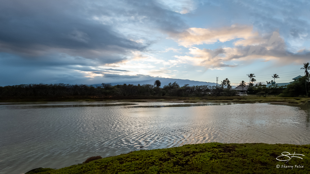 Kanaha Pond and Beach in Maui – Sherry Felix – port4u