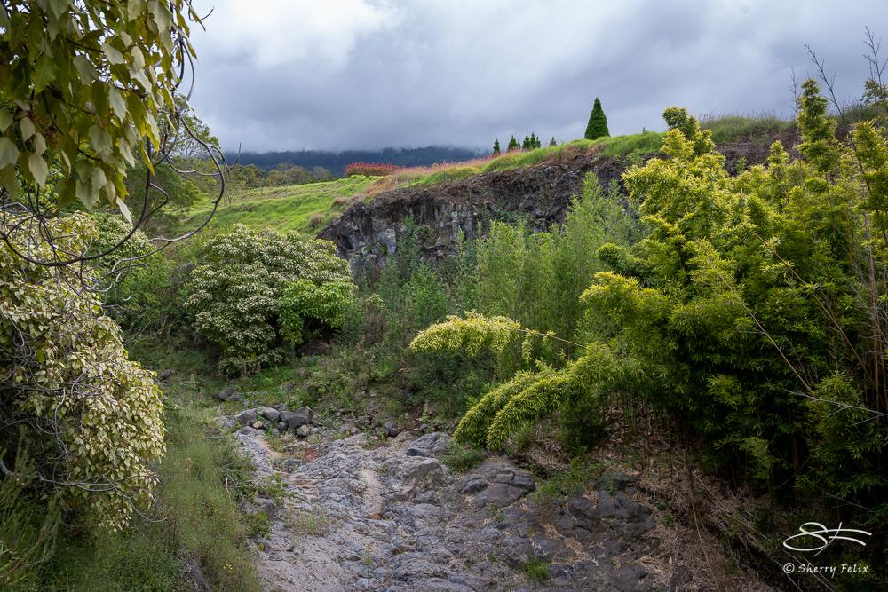 Kula Botanical Garden – Sherry Felix – port4u