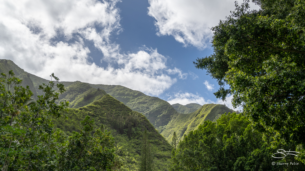 Iao Valley Maui – Sherry Felix – port4u