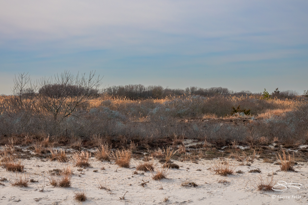 Jones Beach in January – Sherry Felix – port4u