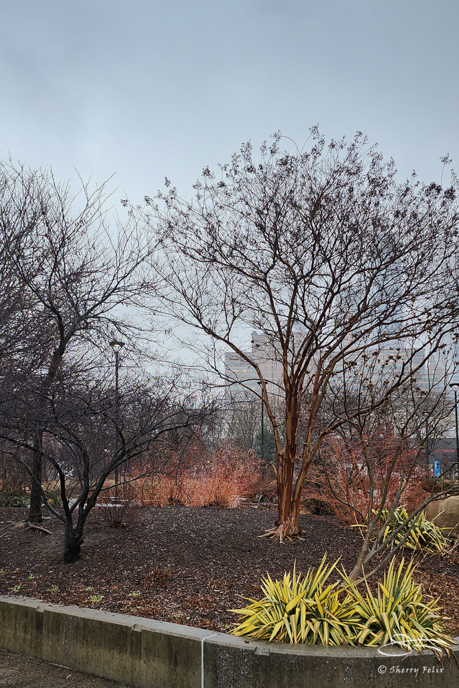Chelsea Piers – Sherry Felix – port4u