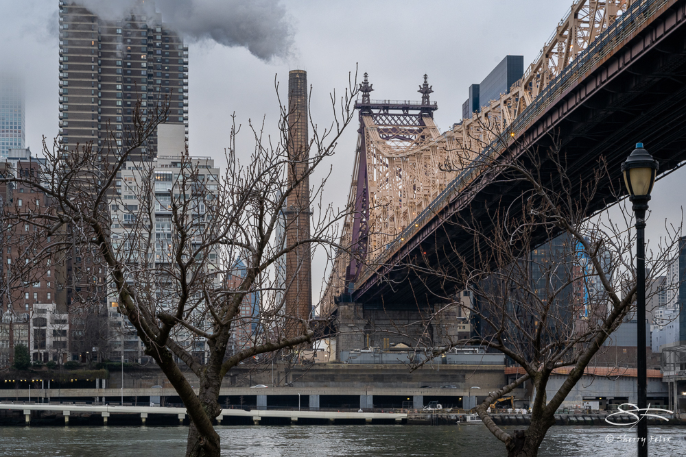 Roosevelt Island Bridge – Sherry Felix – port4u