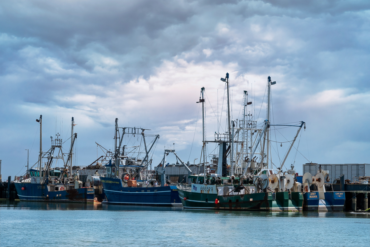 Birding by Boat 2 of 3 – Sherry Felix – port4u
