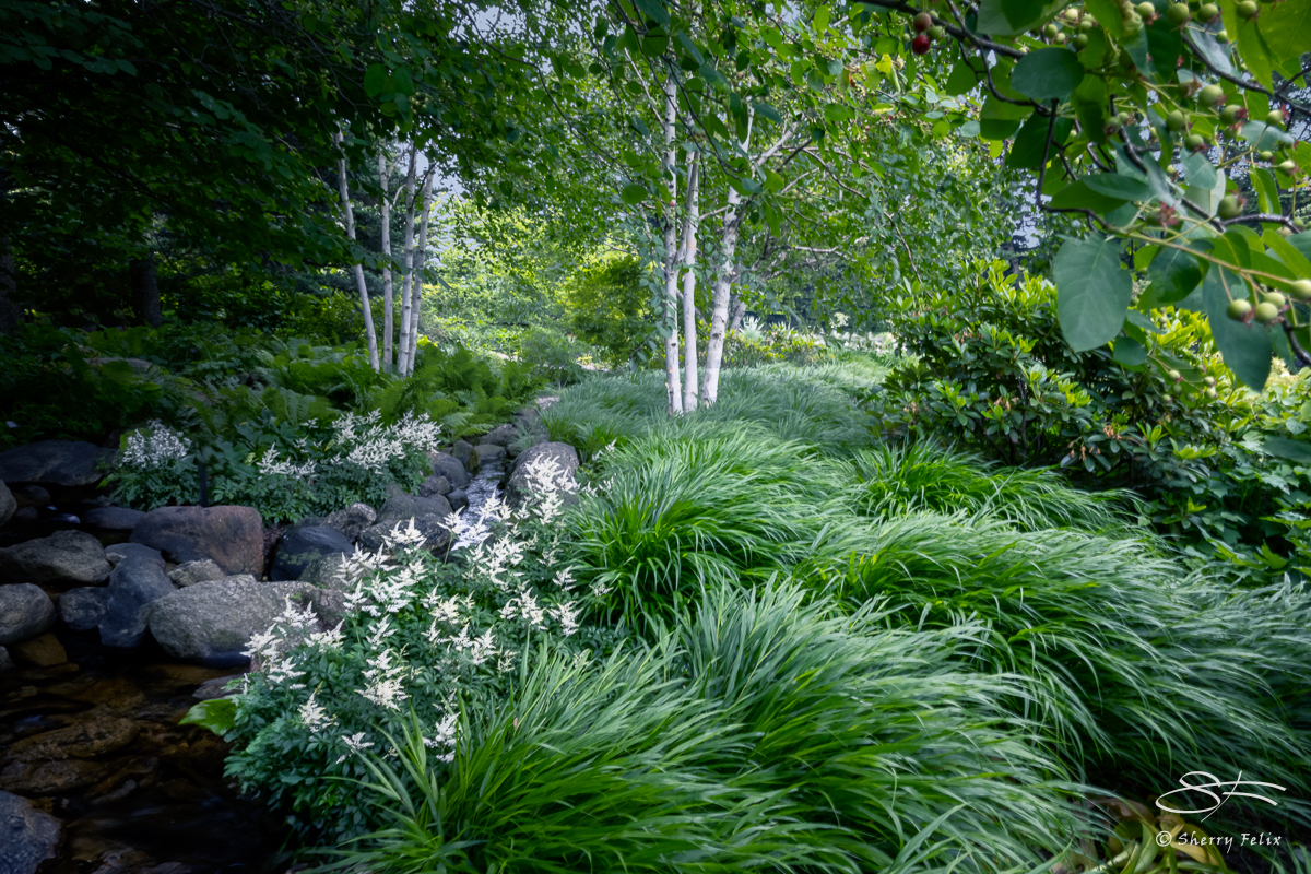 NYBG Landscapes – Sherry Felix – port4u