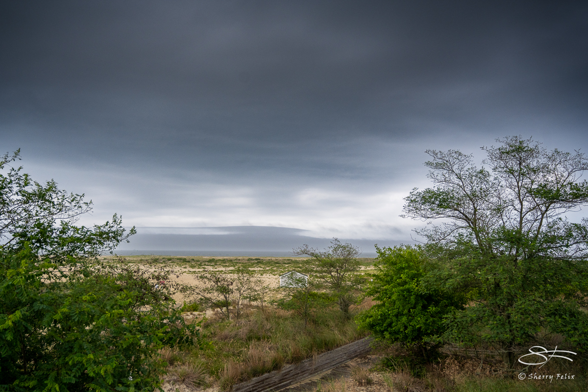 Sandy Hook Beaches – Sherry Felix – port4u