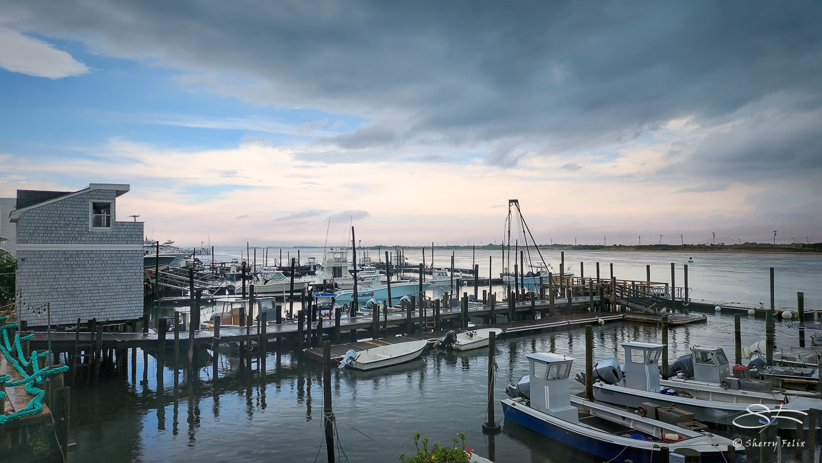 Sandy Hook Landscapes – Sherry Felix – port4u