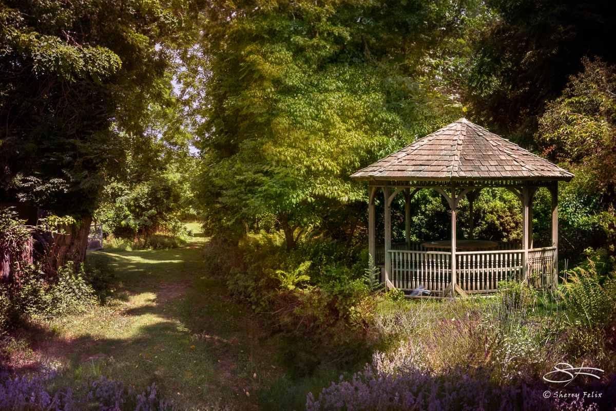 Sweetbriar Nature Center – Sherry Felix – port4u