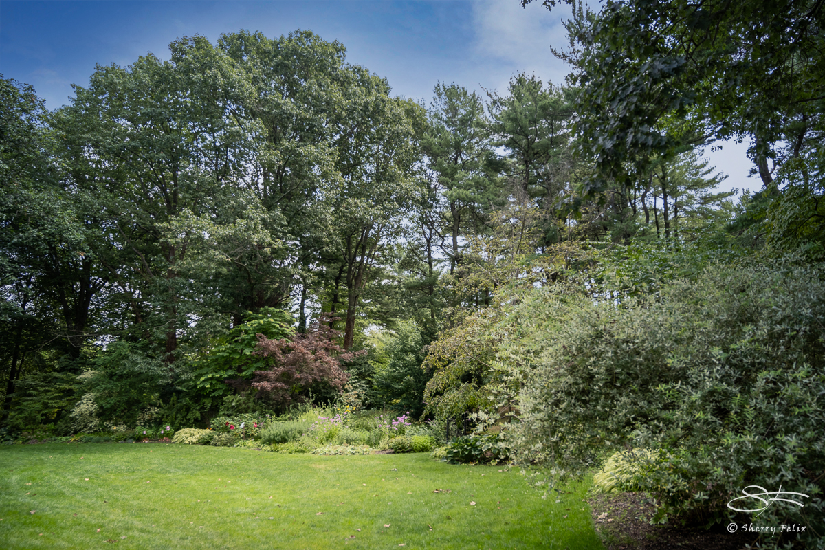 Clark Botanic Garden – Sherry Felix – port4u