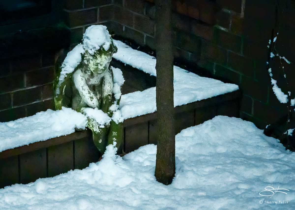 Last of the Winter Snow – Sherry Felix – port4u