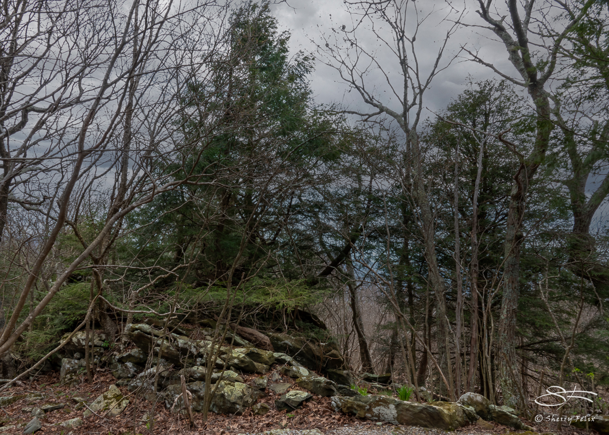 Stony Man 1 of 2 – Sherry Felix – port4u