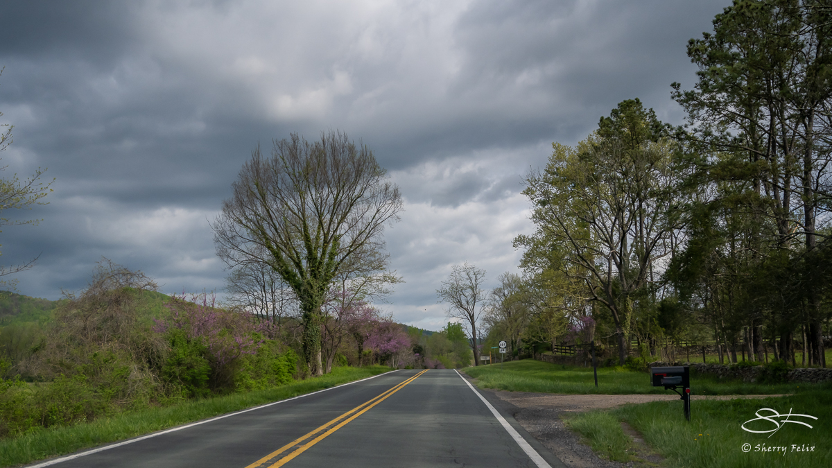 Scenic Drive in Virginia – Sherry Felix – port4u