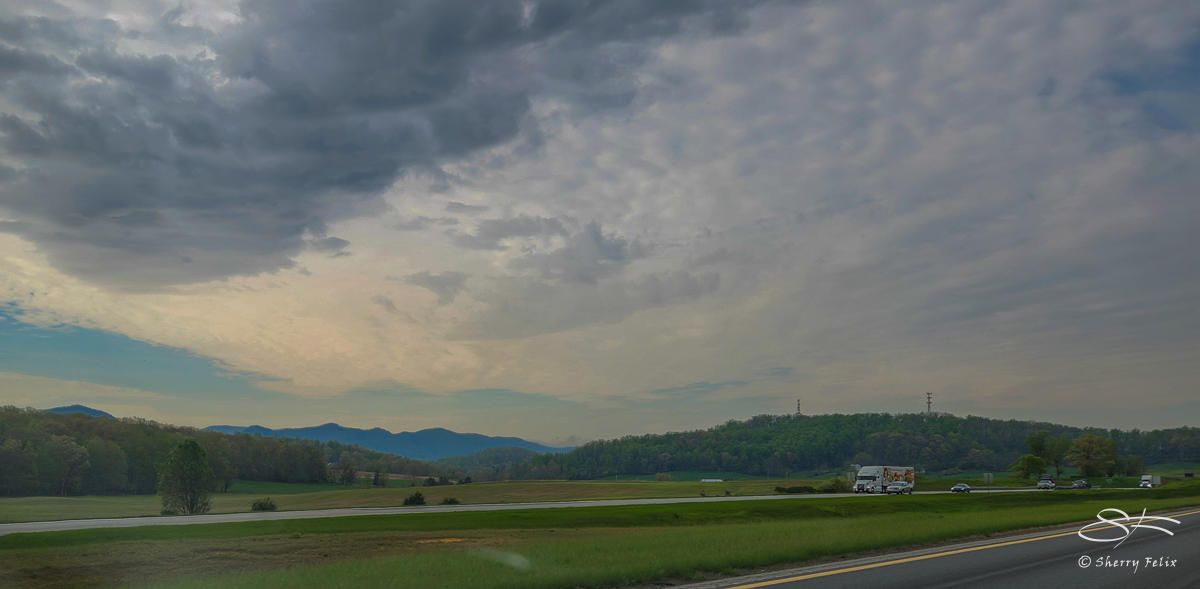 Skyline Fog – Sherry Felix – port4u