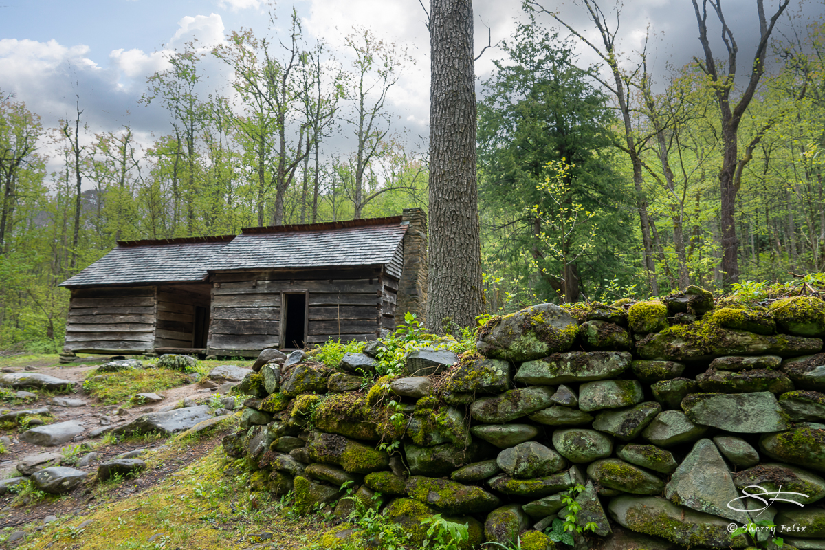 Roaring Forks History – Sherry Felix – port4u