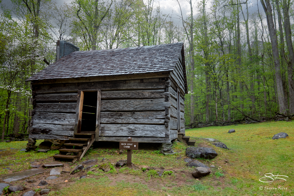 Roaring Forks History – Sherry Felix – port4u