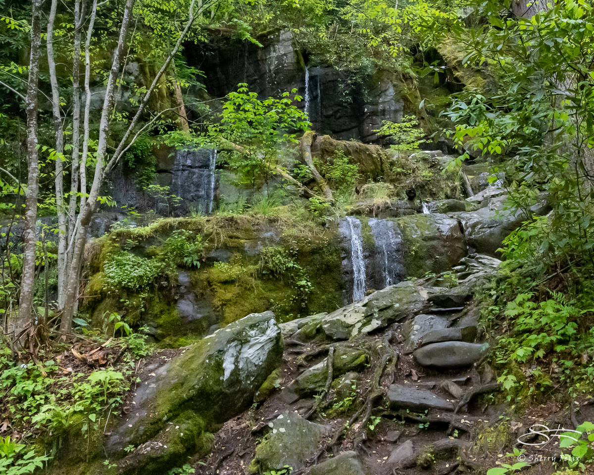 Roaring Forks Water – Sherry Felix – port4u