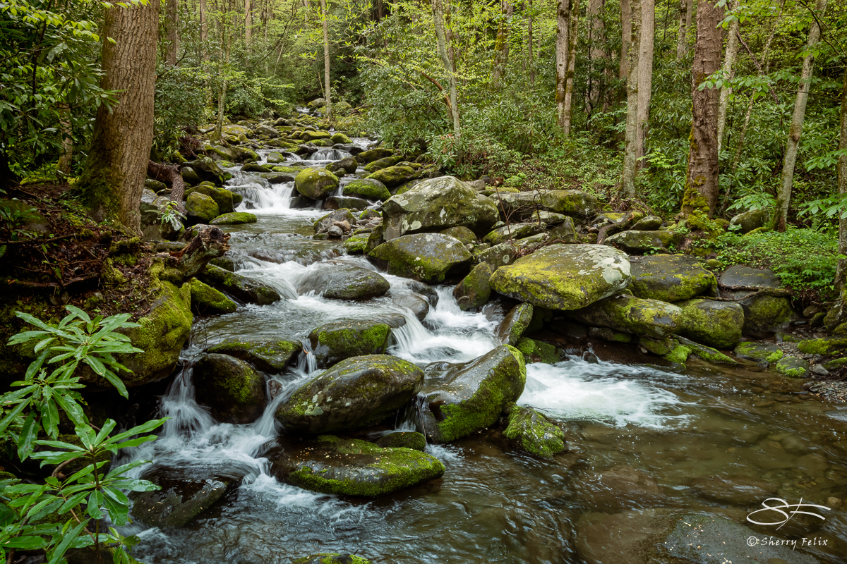 Roaring Forks Water – Sherry Felix – port4u