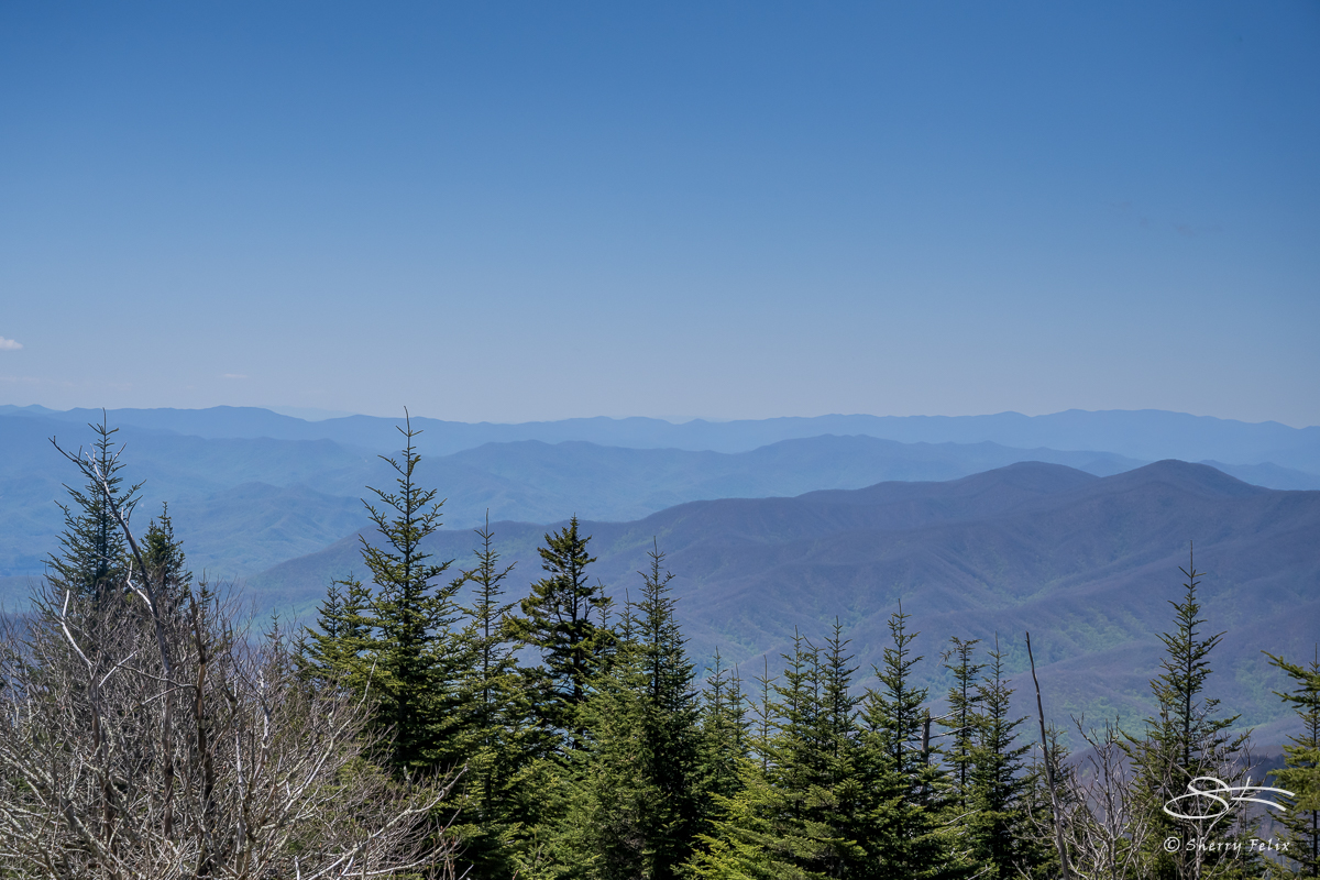 Clingman’s Dome – Sherry Felix – port4u