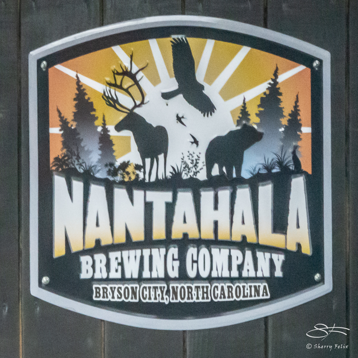 Nantahala Gorge GMS RR – Sherry Felix – port4u