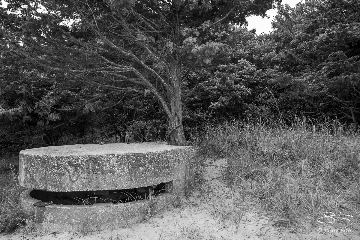 Sandy Hook Storm – Sherry Felix – port4u