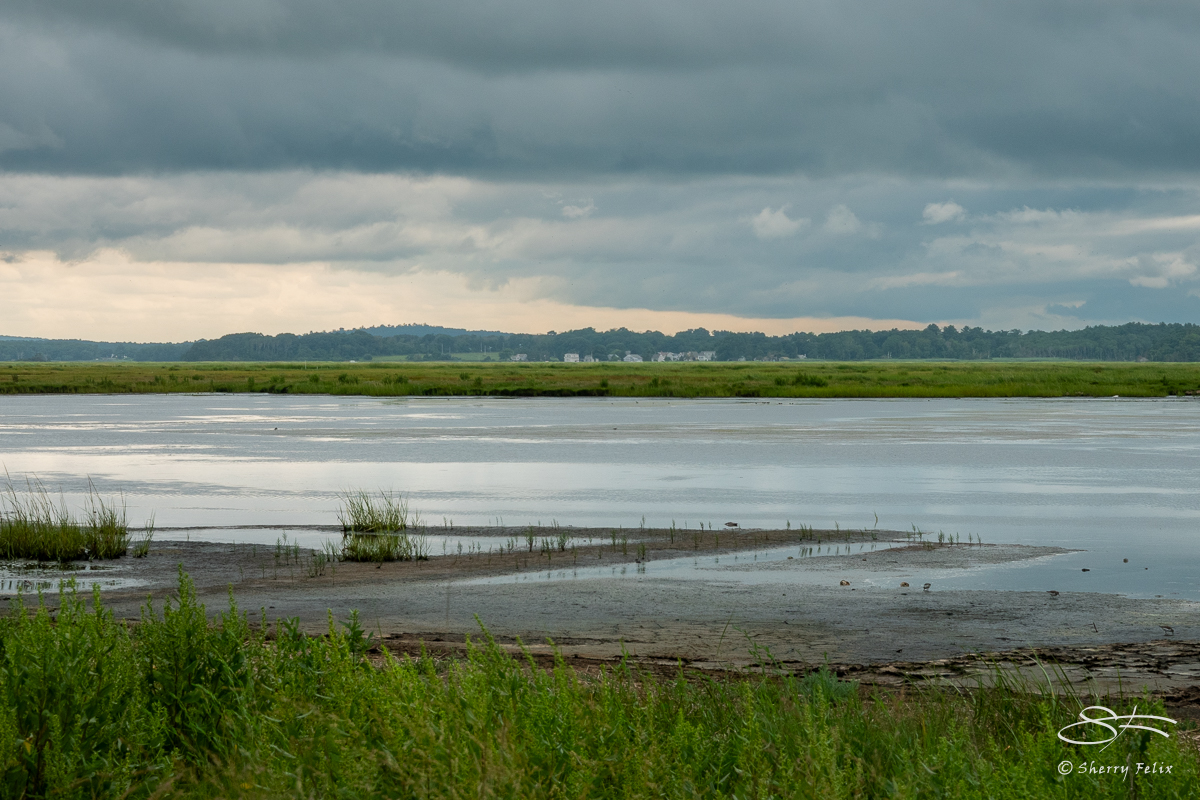 Parker River NWR – Sherry Felix – port4u