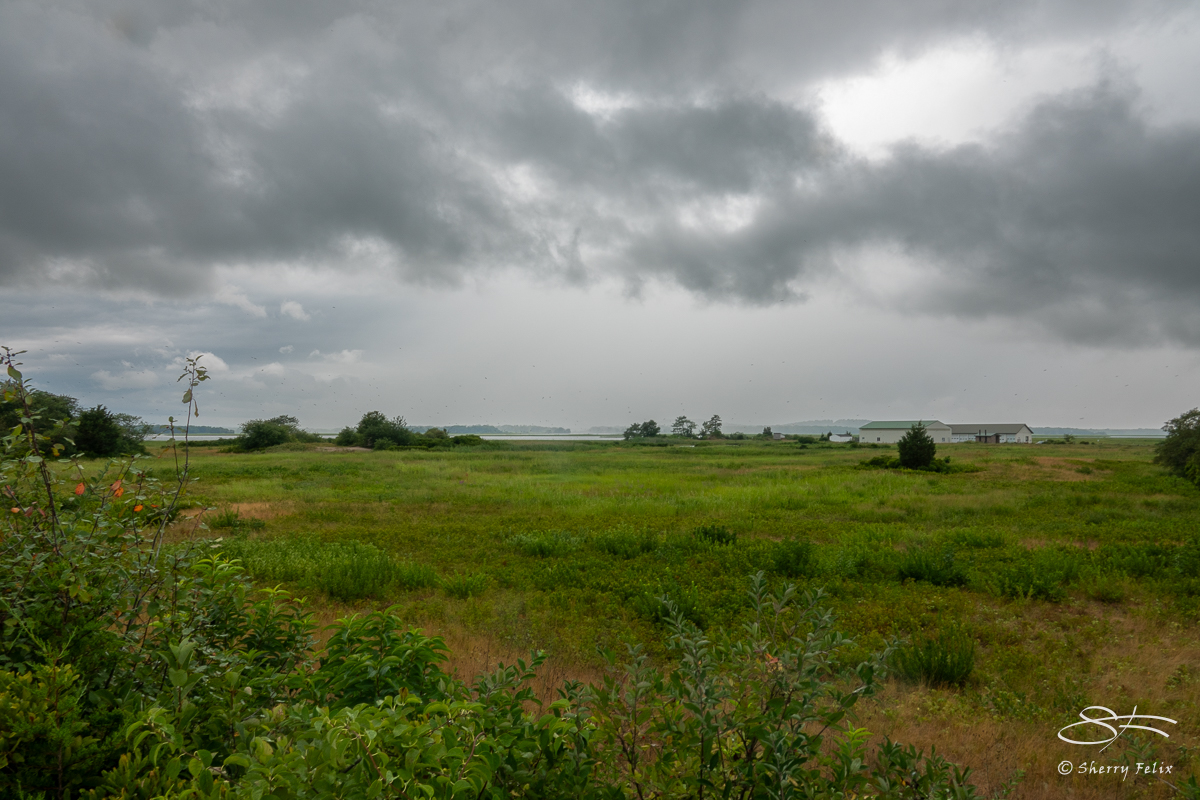 Parker River NWR – Sherry Felix – port4u