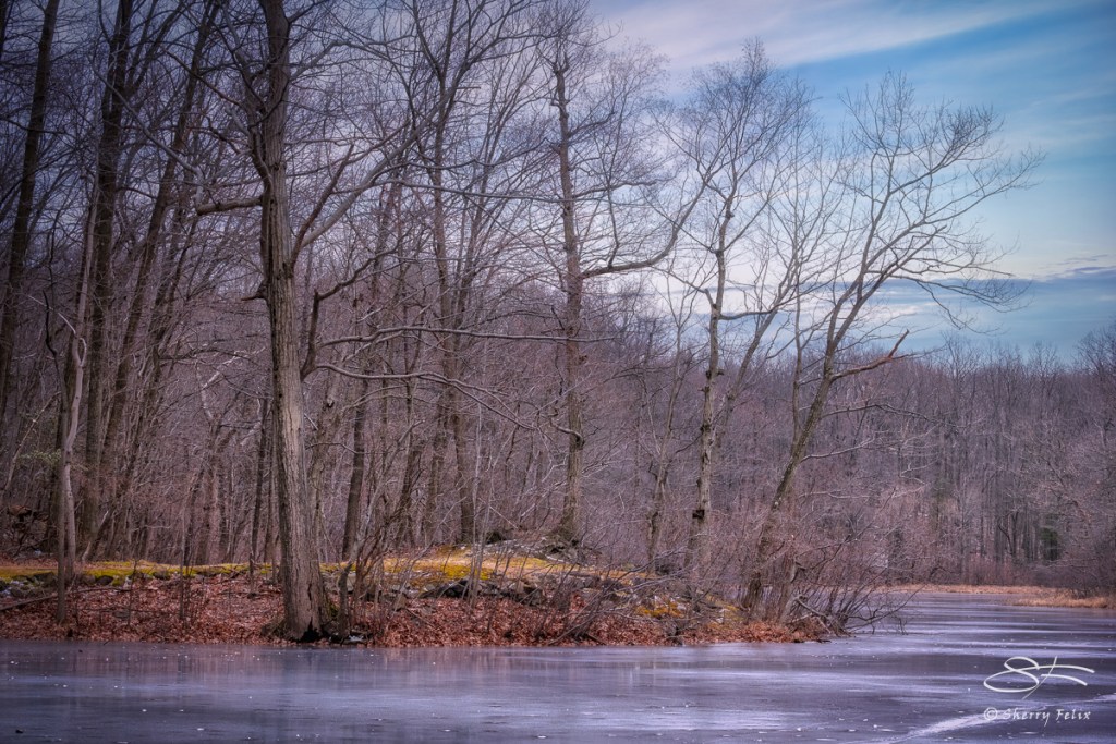 Greenbrook in February – Sherry Felix – port4u