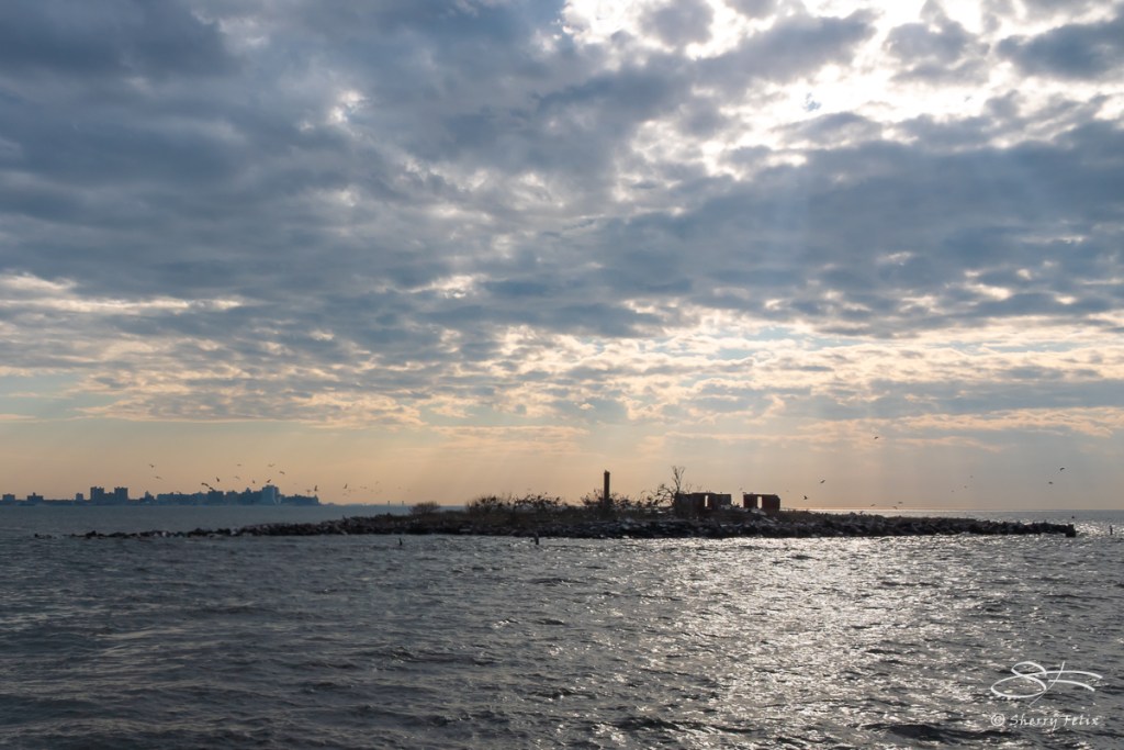 Lower Bay – Sherry Felix – port4u