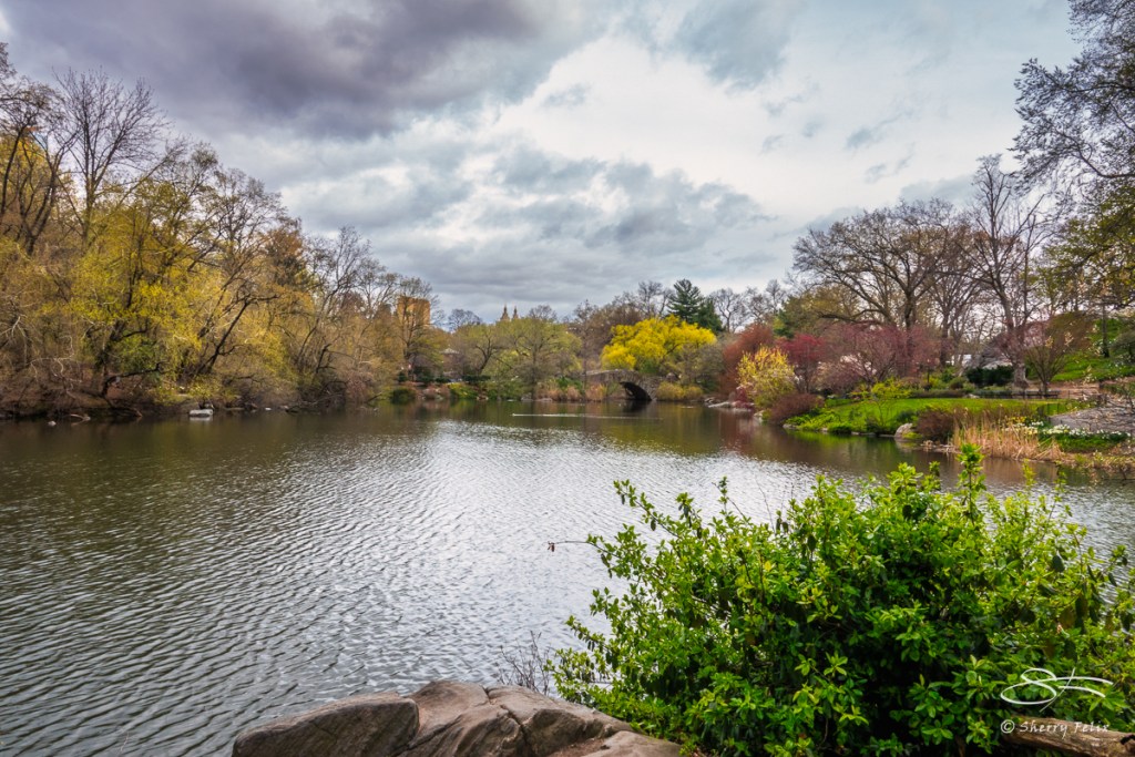 Discover the Beauty of The Pond in Central Park, NYC