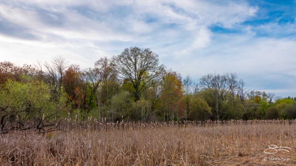 Discover the Celery Farm: A Hidden Gem in Allendale, NJ