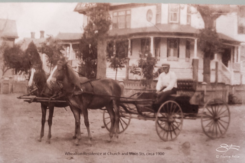 Explore Chincoteague Museum: History, Ponies, and More