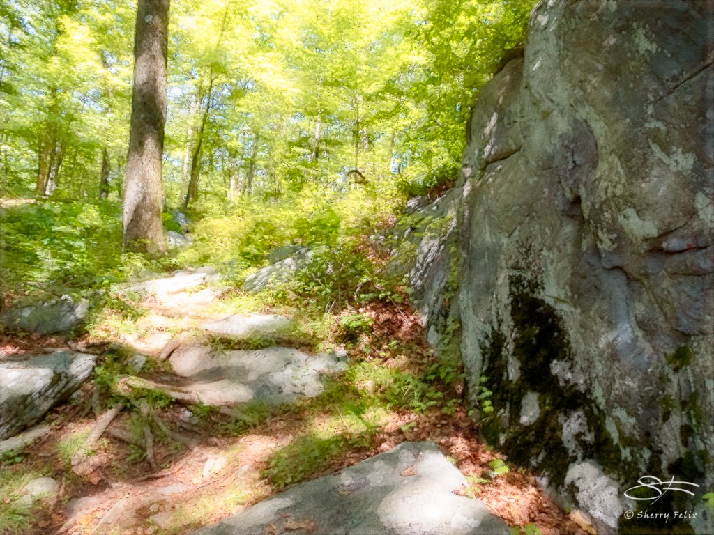 Explore Cranberry Lake Preserve: Nature Trails & Views