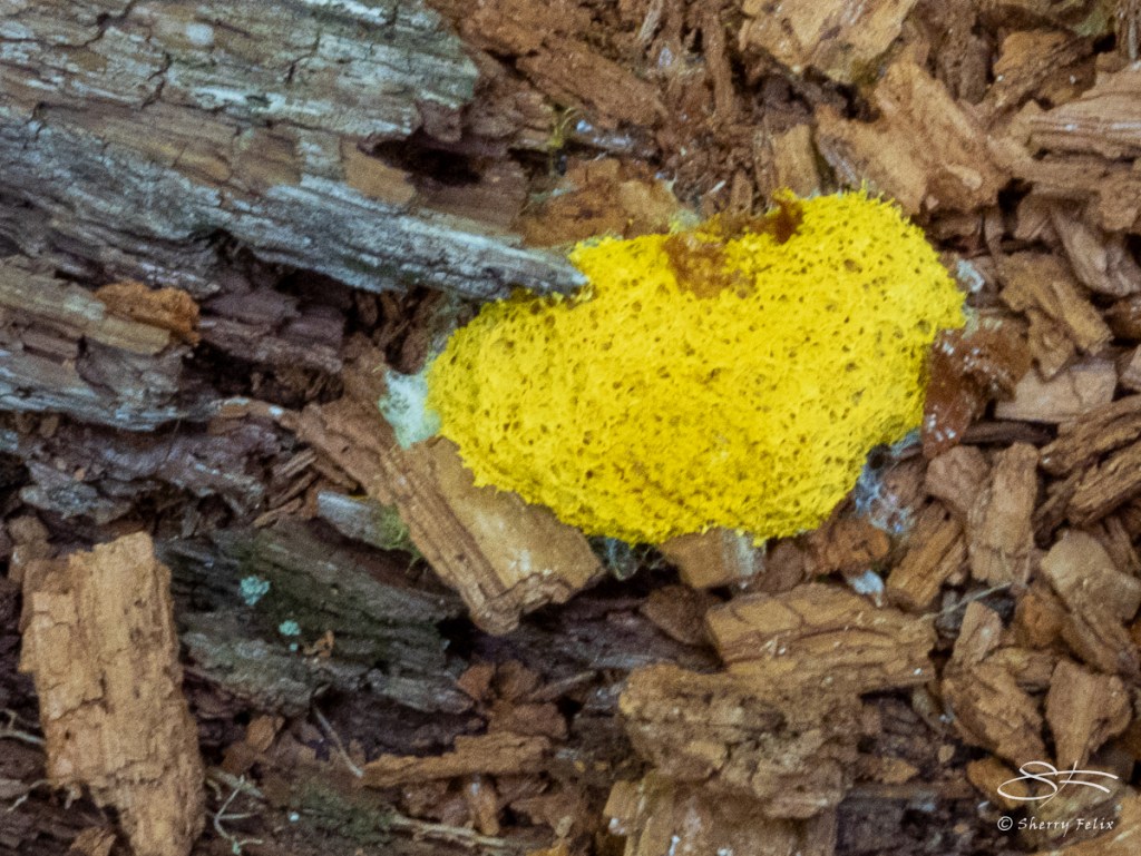 Explore Cranberry Lake Preserve: Nature Trails & Views